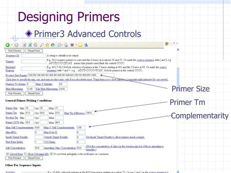 Primer Design Software Free At Alonzo Christensen Blog
