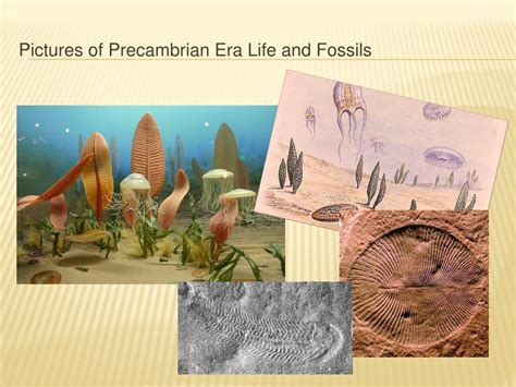 Ppt Geologic Time Powerpoint Presentation Free Download Id1931972