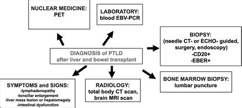 Managing The Challenge Of Ptld In Liver And Bowel Transplant Recipients
