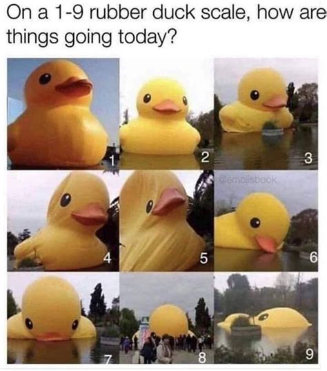 34 Check In Memes Ideas In Memes How Are You Feeling Feelings Chart