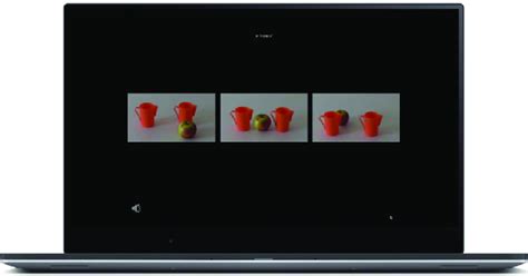 Example Of The Comprehension Task For The Concept In Front Of Download Scientific Diagram