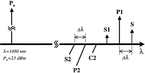 Schematic Diagram Of Wavelength Allocation In The Opp Scheme Download Scientific Diagram