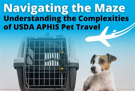 Understanding Usda Aphis Pet Travel Globalvetlink