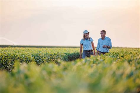 Unmasking A Silent Soybean Yield Thief Seed World