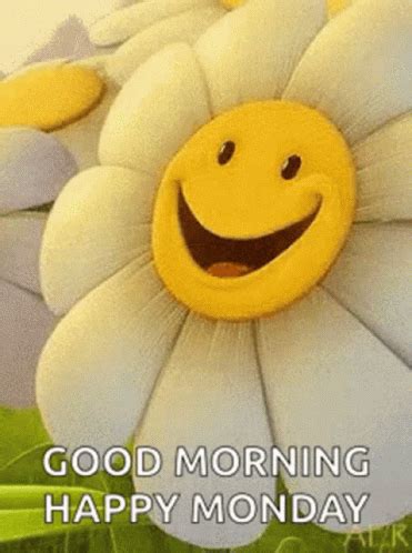 Monday Good  Monday Good Morning Discover And Share S