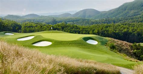 Warm Season Turfgrasses From Atlas Turf 1 Worldwide Supplier Of Turf