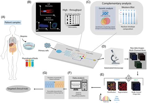 lab‐on‐a‐chip device designed for clinical applications and using