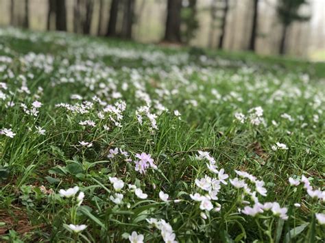 American Teen Khalid Sarah Duffy