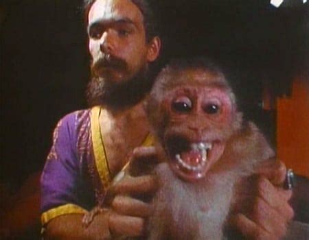 Faces Of Death 1978 Horror Cult Films
