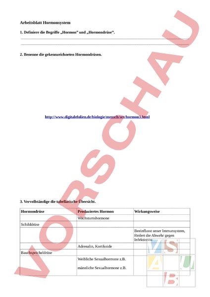 Arbeitsblatt Ab Hormonsystem Biologie Gemischte Themen
