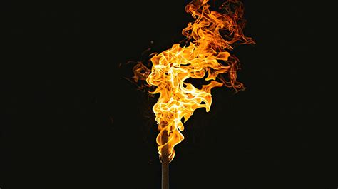 Fire Torch Flame Vector Realistic Fire Torch Royality Free Vector Illustration Torch Flame