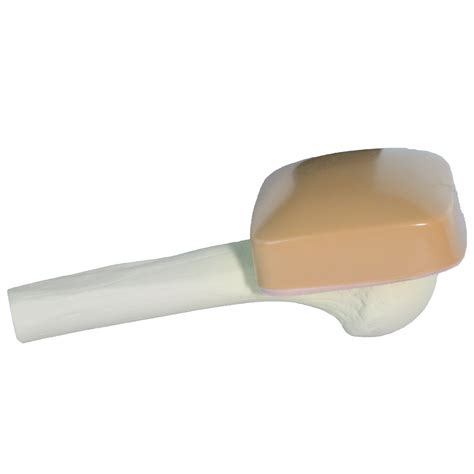 Adult Humeral Head Training Bone With Skin Patch Training Bones And
