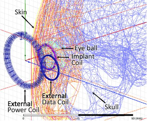 The Magnetically Balanced Inductive Link Is Simulated With The Human
