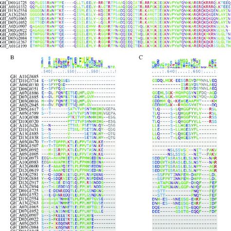 Multiple Sequences Alignment Of The Protein Sequences Of Cooon Woxs Download Scientific Diagram