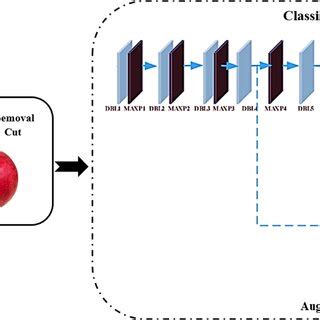PDF YOLOAPPLE Augment Yolov3 Deep Learning Algorithm For Apple Fruit