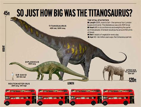 Titanosaurus Facts Paleontology World