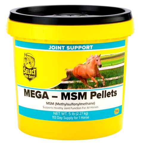 Mega Msm™ Select The Best