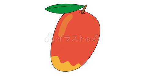 マンゴー 無料イラスト素材•商用可いらもり