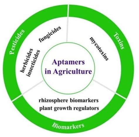 用于农业杀虫剂、毒素和生物标志物的核酸适体chempluschem X Mol