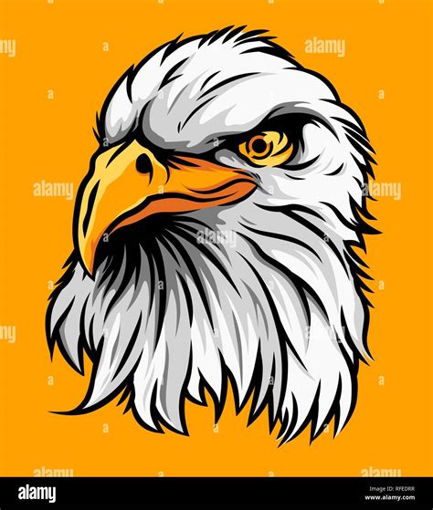 Eagle Head Illustration Vector Stock Vector Image And Art Alamy