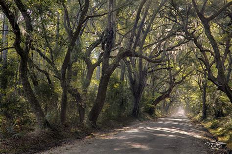 Passing Through South Carolina Timm Chapman Photography