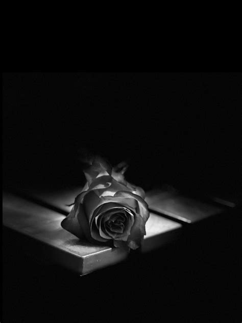 Hmakellia Onlyfans 2025 Leaks Eropaste