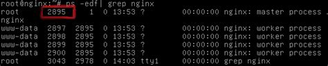 Tuer Un Processus En Ligne De Commande Sous Linux Commandes Et