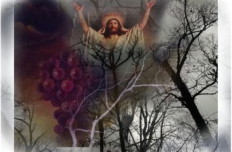 The Wine Photograph By David Michael Baldwin Fine Art America