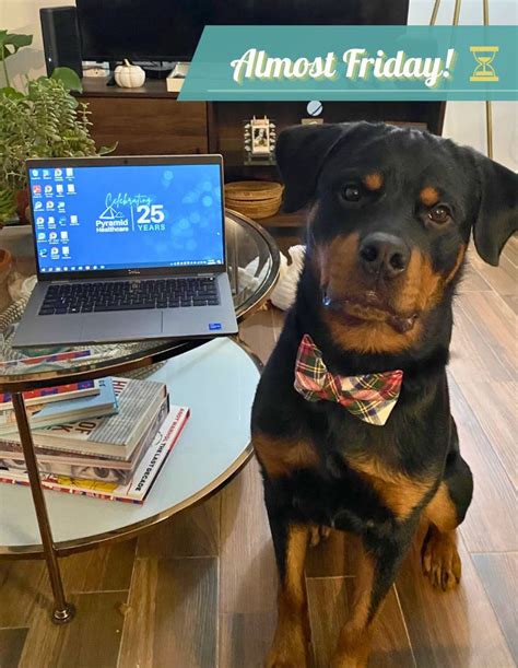 Kimberly Weidner On Linkedin Almost Friday Looking Sharp And Ready