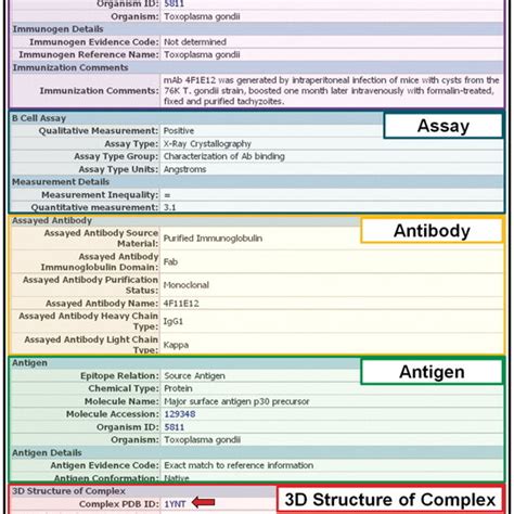 Example Of The B Cell Response Page Detailed Information Is Provided