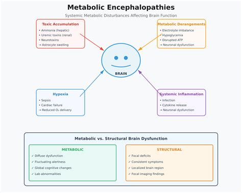 Understanding Metabolic Encephalopathies