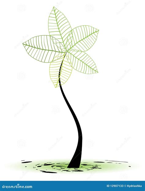 Sapling Tree Stock Vector Illustration Of Green Recovery 12907133