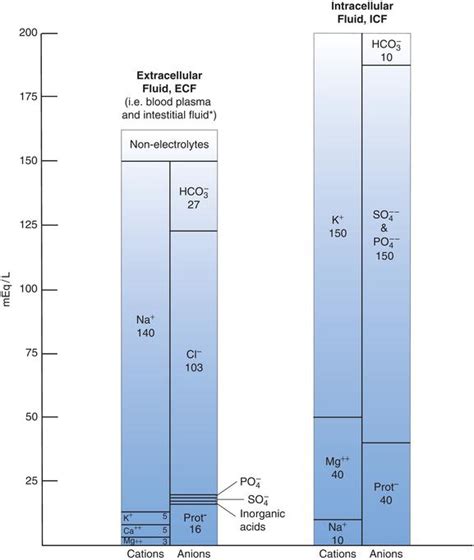 Potassium Citrate Mg To Meq Conversion At Glenn Ledoux Blog