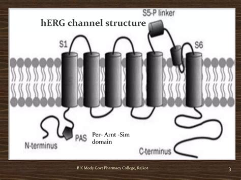 Herg Assay Pptx