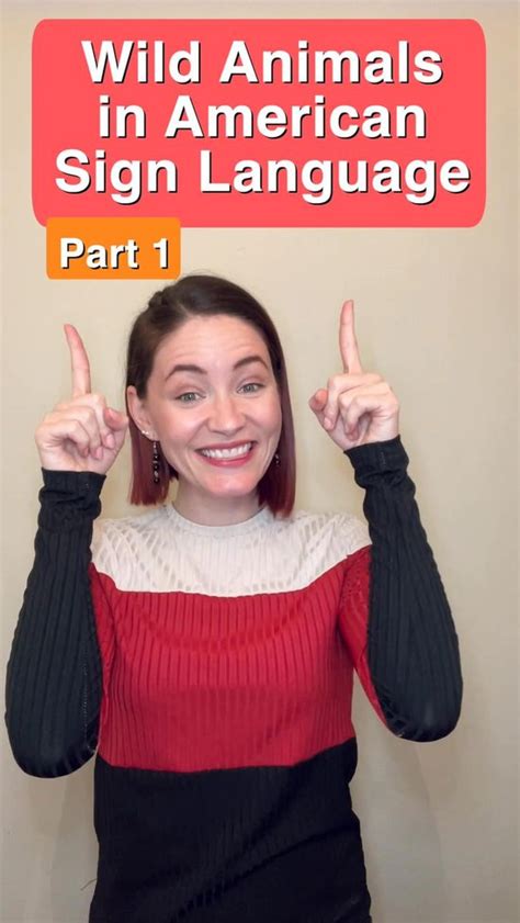 Tara Meyer Tarameyer2010 Profile Pinterest