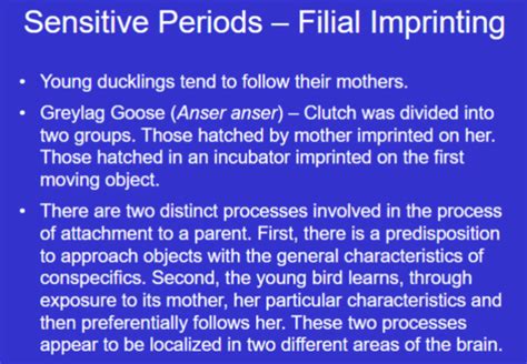 Development Of Behavior Flashcards Quizlet