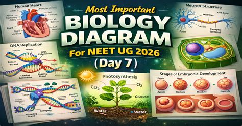 Most Important Biology Diagram For Neet Ug 2026 Day 7