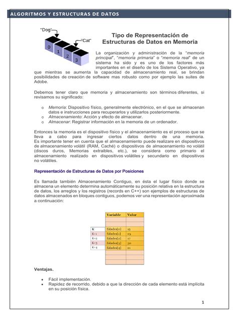 Bases Teóricas De Almacenamiento En Memoria Pdf Almacenamiento De