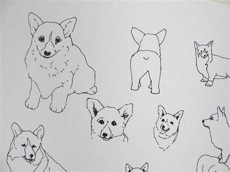 собака корги рисунок карандашом 48 фото