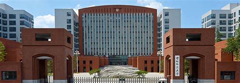 首都师范大学 锤子简历