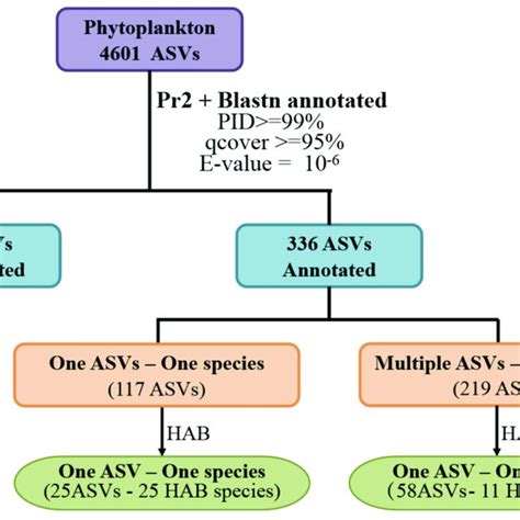 A Flowchart Describing The Asv Annotations Download Scientific Diagram