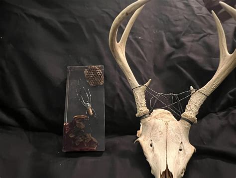 Epoxy Resin Orb Weaver Spider Display With Wasp Nest Unique Handmade