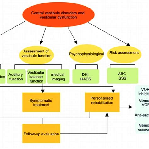 Diagnosis And Treatment Process Of Vestibular Rehabilitation In Central