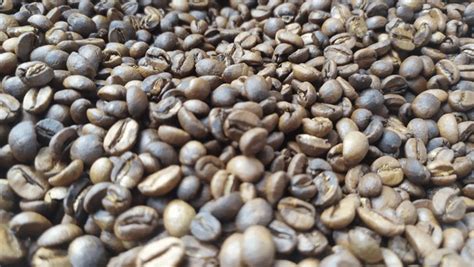 75 Coffee Roster Hand Royalty Free Photos And Stock Images Shutterstock