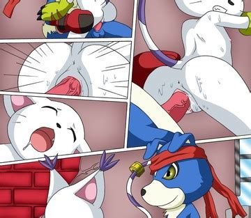 Gatomon In Heat Muses Sex And Porn Comics