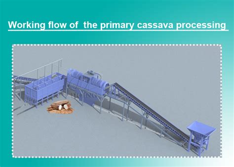 What Is The Primary Processing Of Cassava Faq