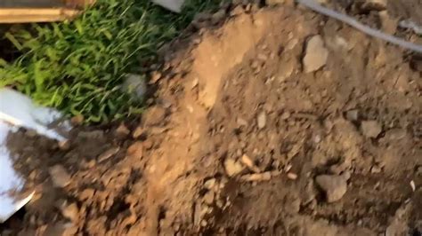 What Is The Meaning Of Crib Dam At Marisela Warren Blog