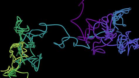 Live Cell Imaging Bruker