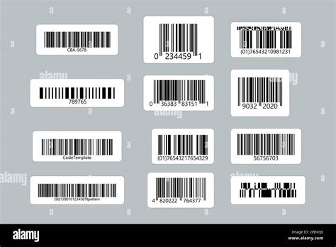 Set Of Linear Codes 2D Code Stickers On Isolated Background Vector