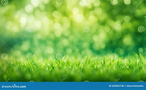 Green Grass Lawn Close Up With Empty Copy Space Bokeh Minimalistic